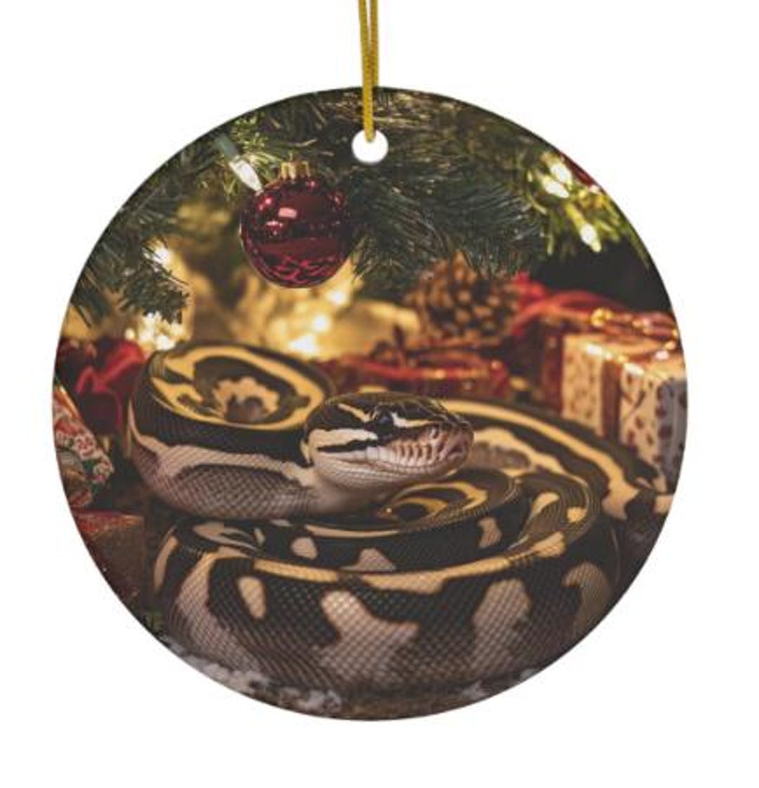 Merry Hissmas 2024 Normal Ball Python Beneath the Christmas Tree - Etsy