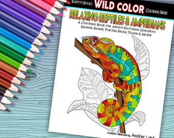 The Big Adventures of Tiny Dick Adult Coloring Book 30 pages | Etsy