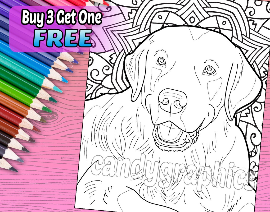 Labrador - Adult Coloring Book Page - Printable Instant Download - Etsy
