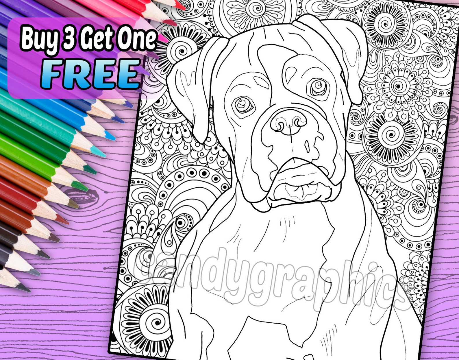 Boxer - Adult Coloring Book Page - Printable Instant Download - Etsy Israel