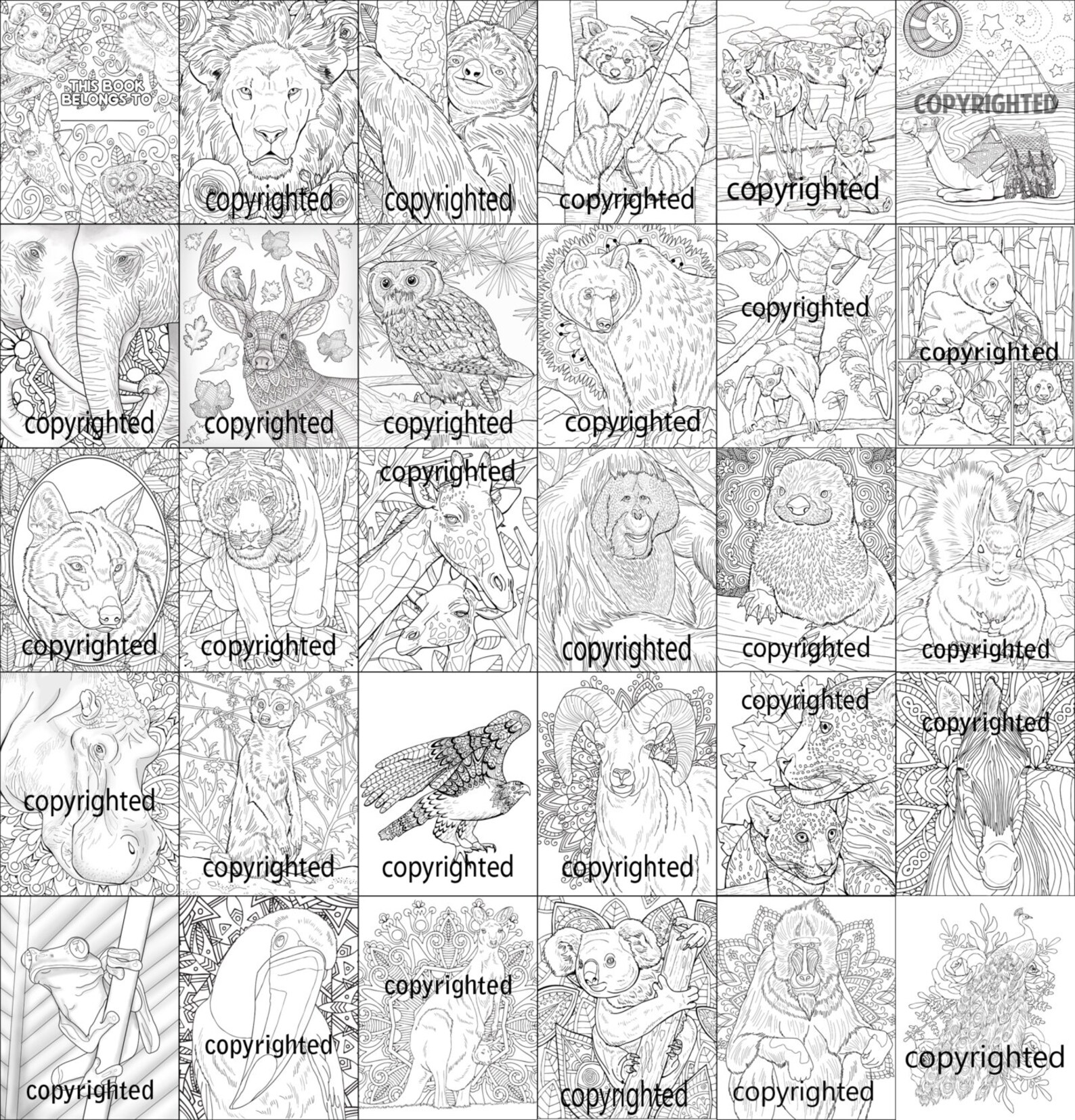 Animals of the Word - Adult Coloring Book 30 Pages - Printable Instant ...