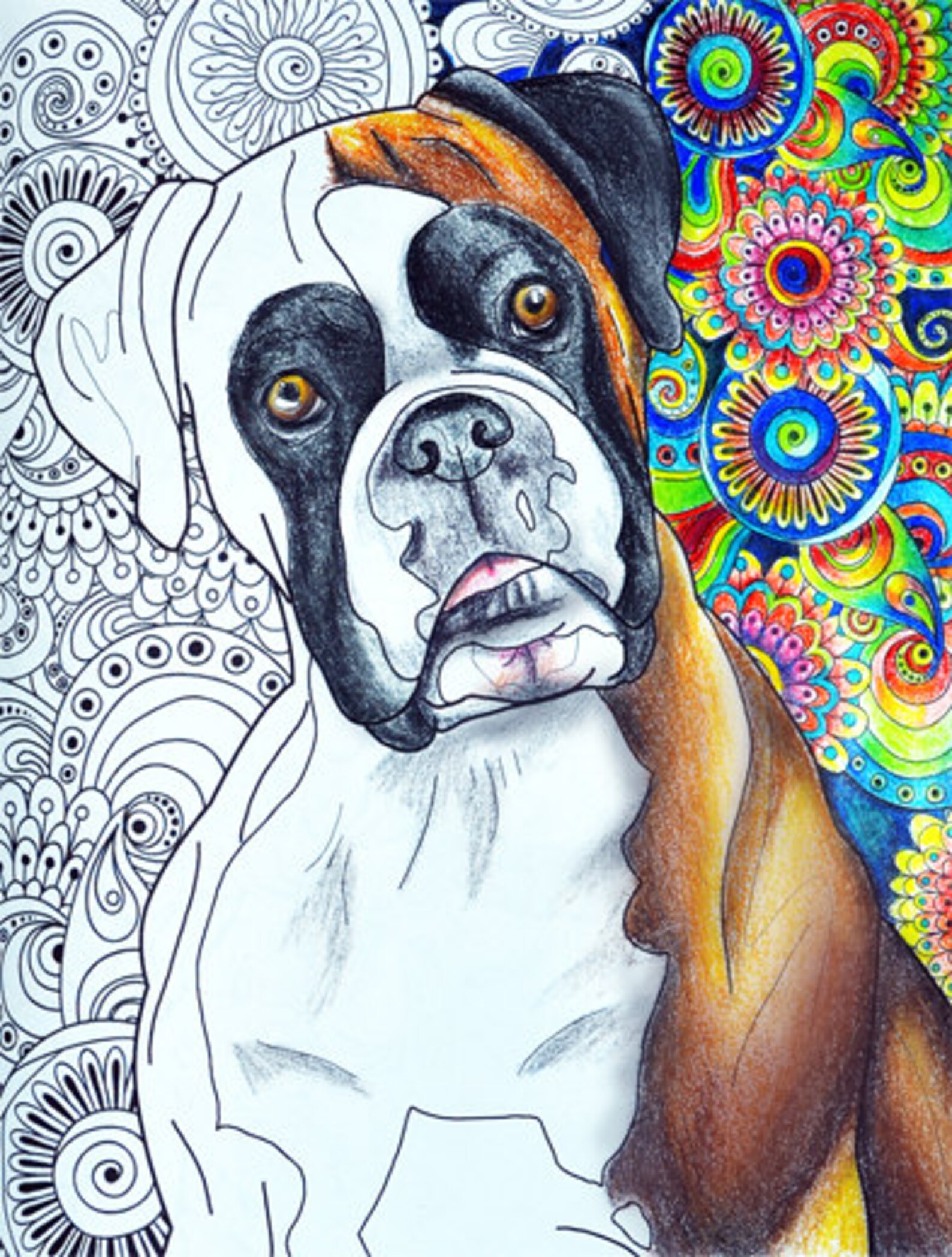 Boxer - Adult Coloring Book Page - Printable Instant Download - Etsy