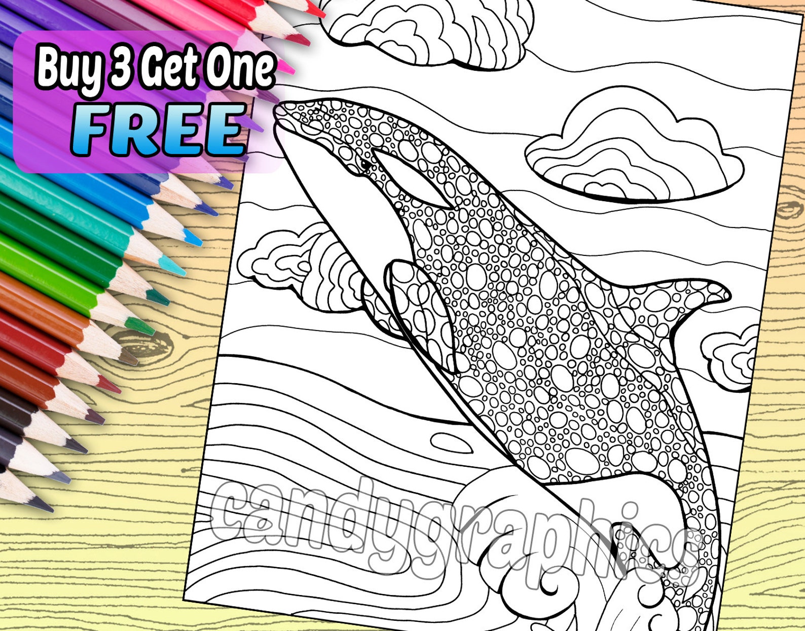 Orca Whale - Adult Coloring Book Page - Printable Instant Download - Etsy