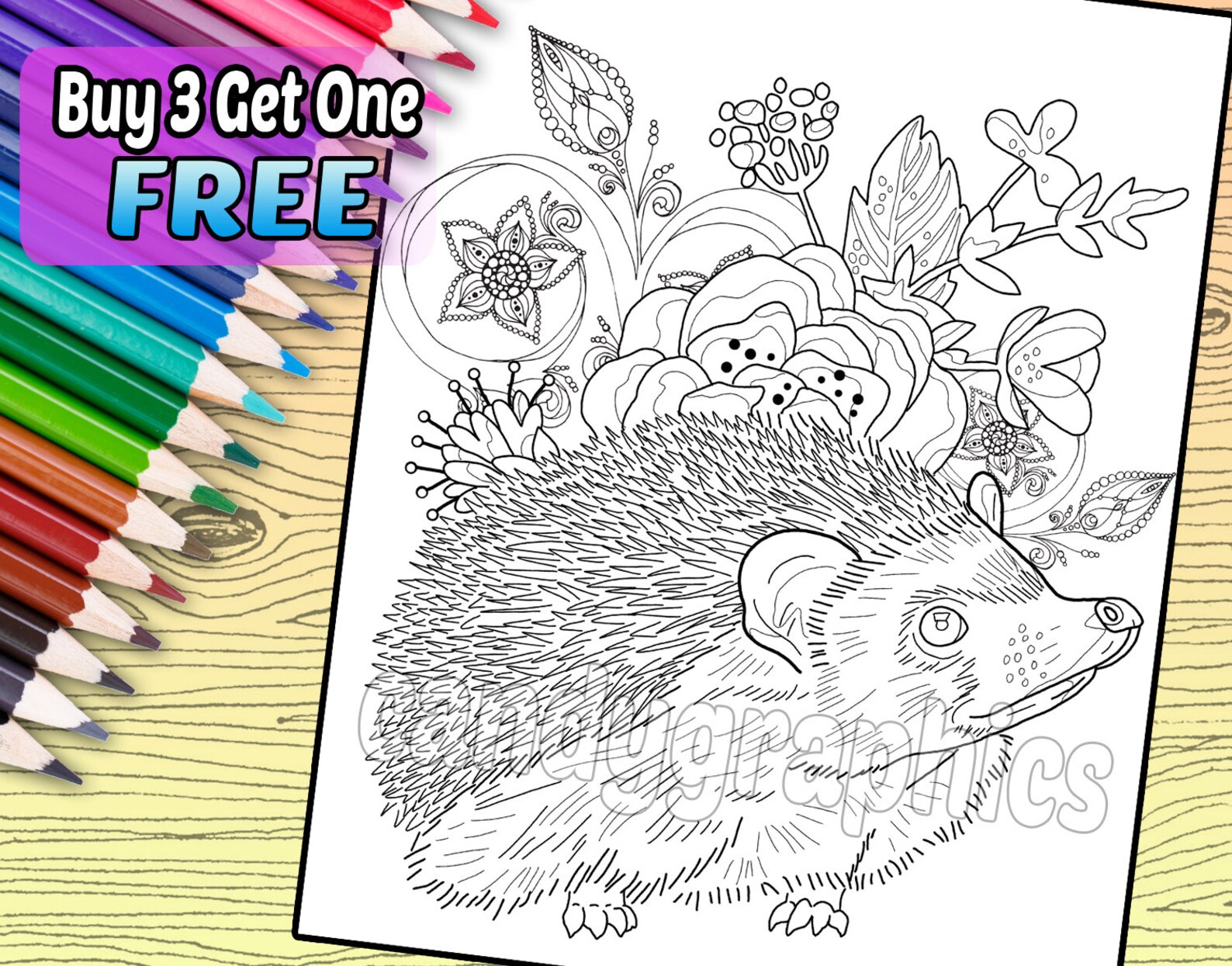Adorable Hedgehog - Adult Coloring Book Page - Printable Instant ...