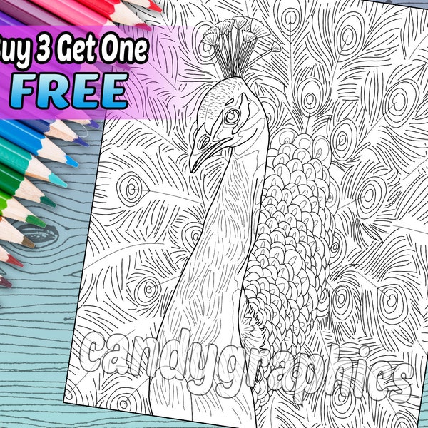Peacock Adult Coloring Book - Etsy