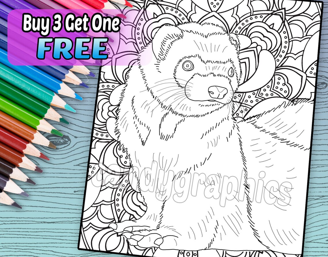 Feisty Ferret - Adult Coloring Book Page - Printable Instant Download ...
