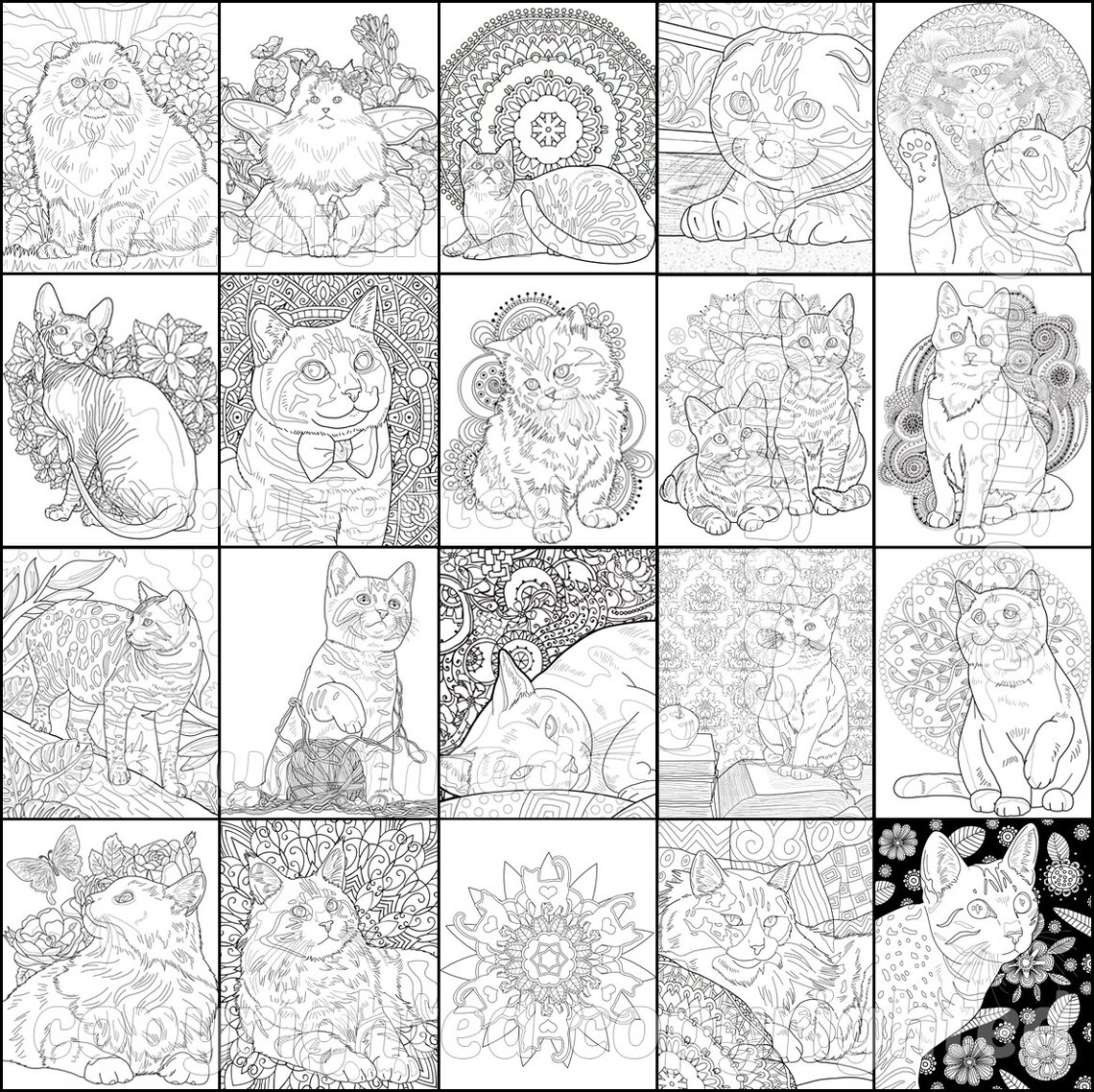 Calming Cats & Kittens Adult Coloring Book 30 Pages - Etsy