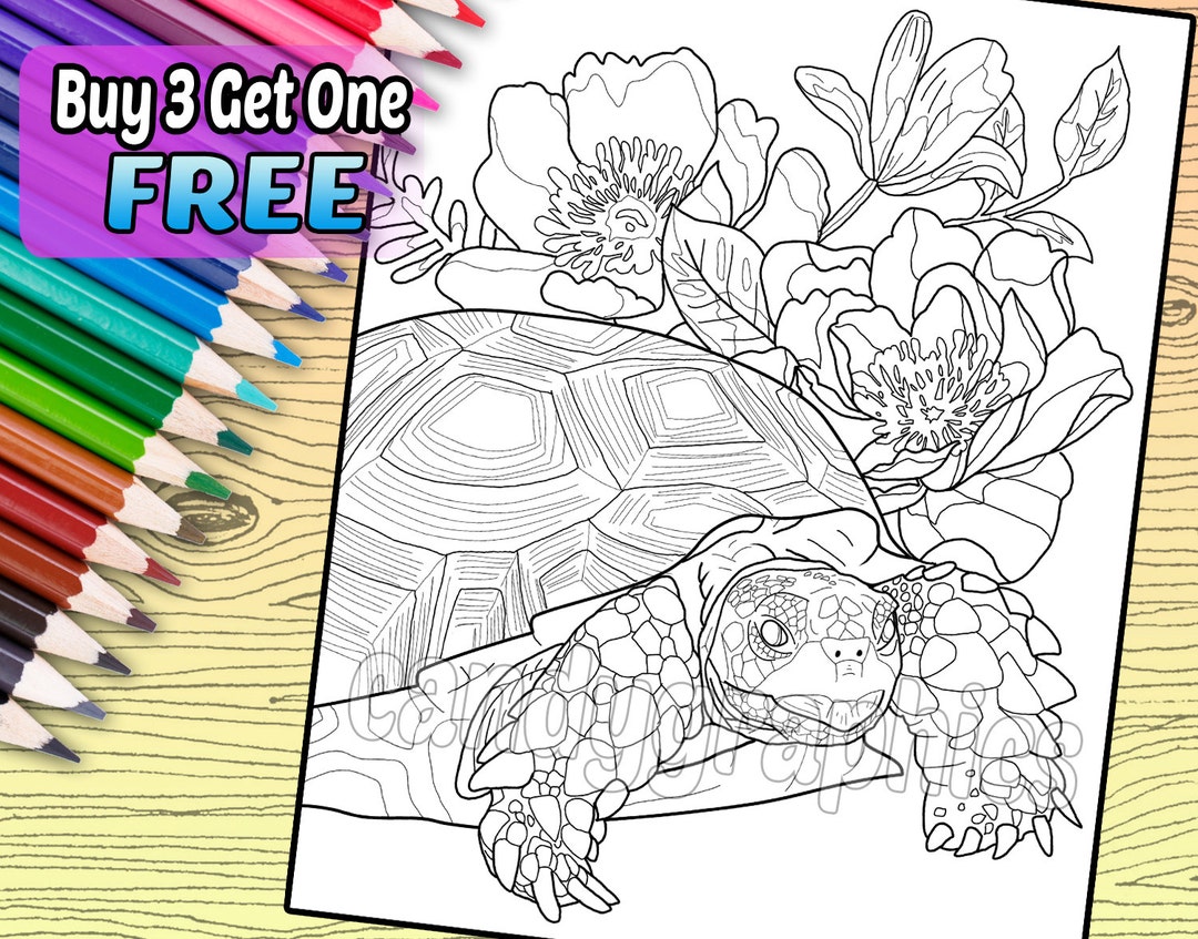 Tortoise and Flowers - Adult Coloring Book Page - Printable Instant ...