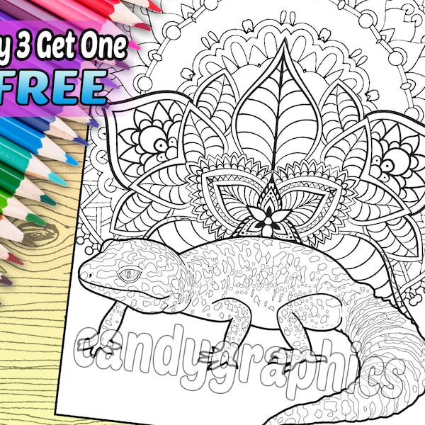 Adult Gecko Coloring Book - Etsy