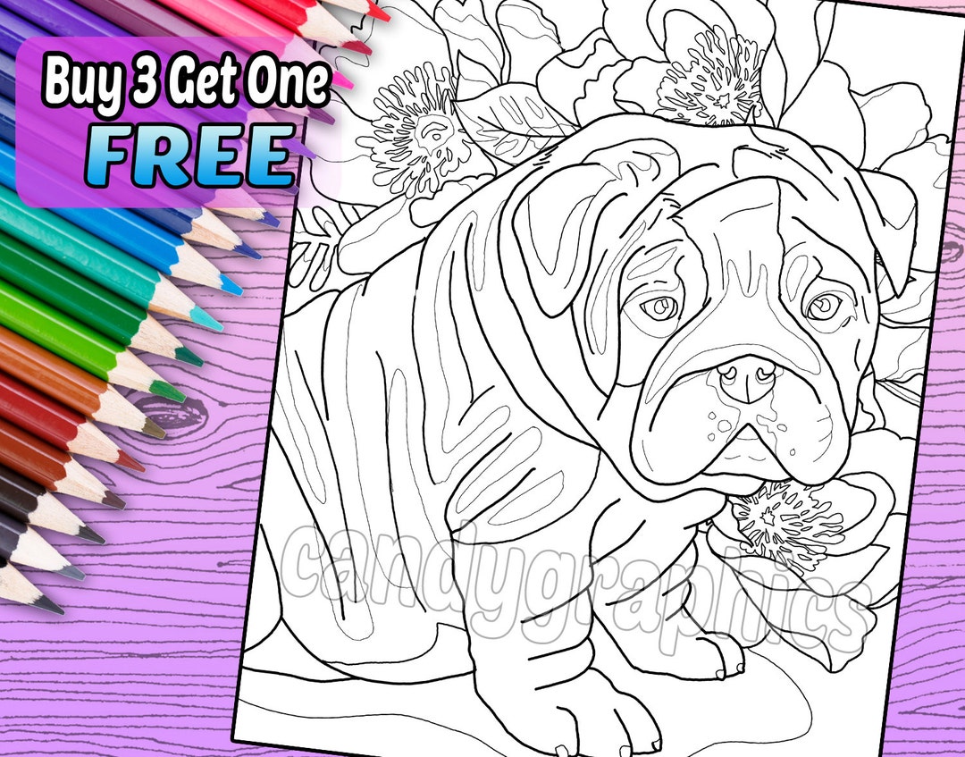 English Bulldog Puppy - Adult Coloring Book Page - Printable Instant ...