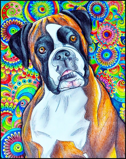 Boxer - Adult Coloring Book Page - Printable Instant Download - Etsy