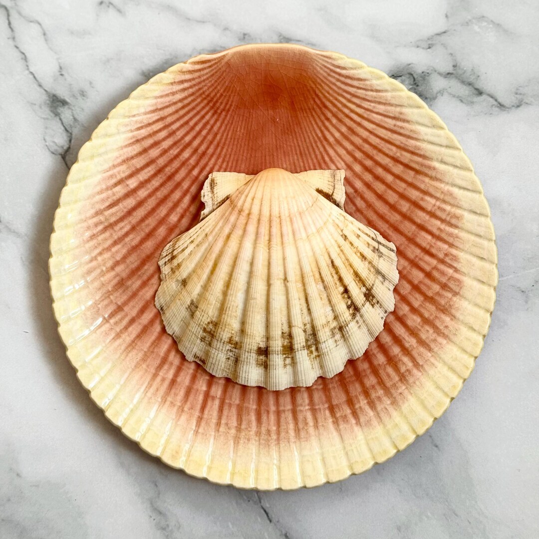 Rare 19th Century Majolica Shell Plate by Sarreguemines, Antique French ...