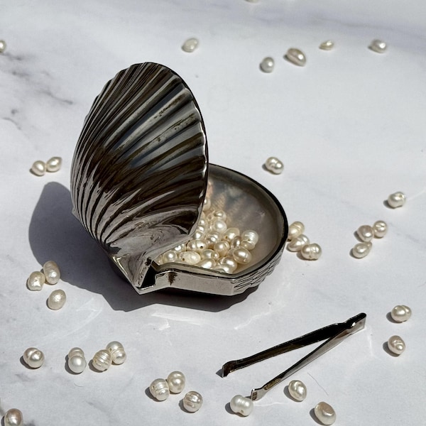 Shell Pill Box - Etsy