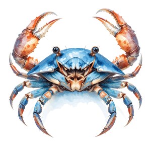 Blue Crab Clip Art | Watercolor Cute Crab Images | Coastal Themed ...