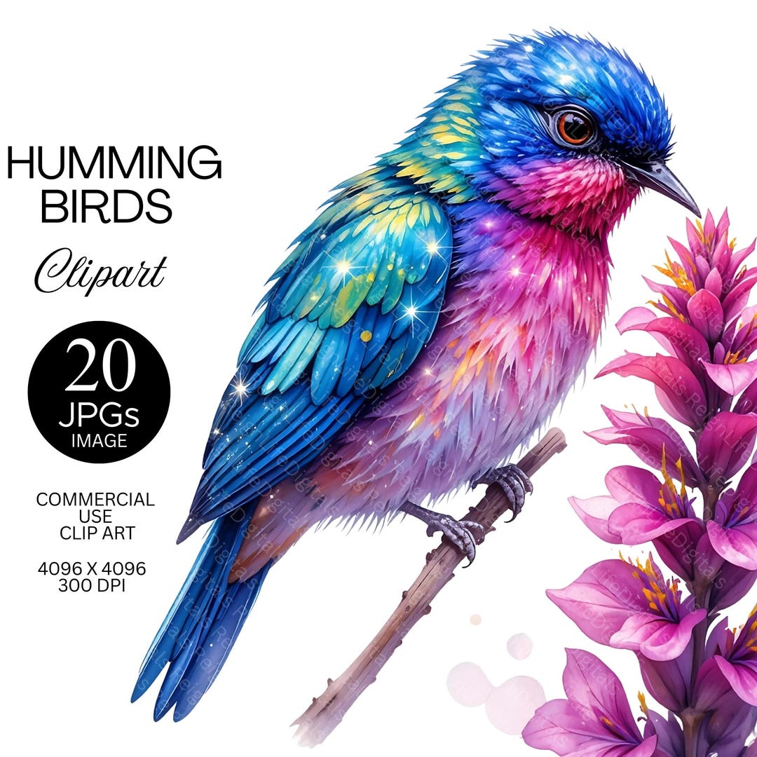 Hummingbird Clipart | Watercolor Bird Clip Art | 20 Bird Illustrations ...