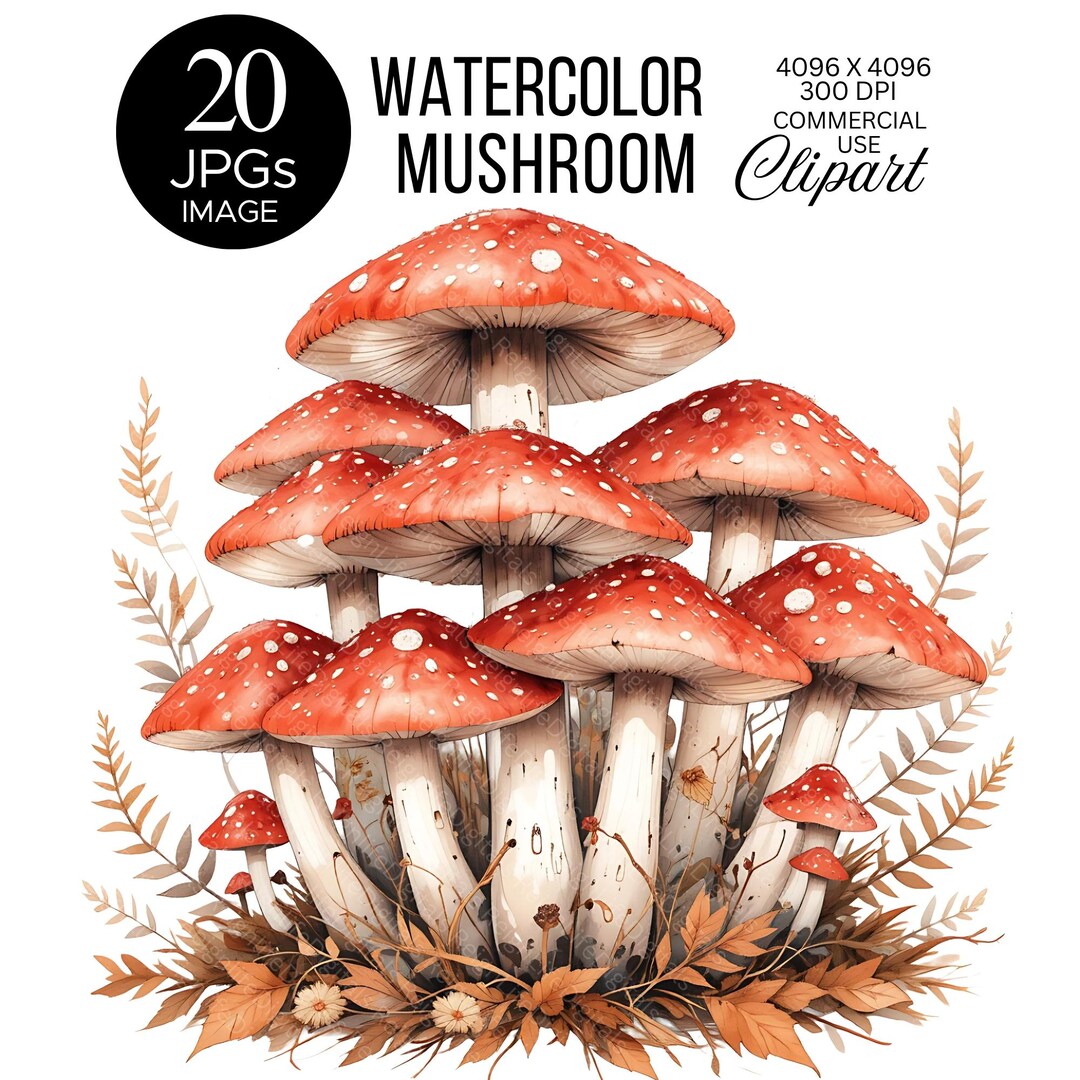 Watercolor Fall Mushroom Clipart | Autumn Woodland Fungi | Fairycore ...
