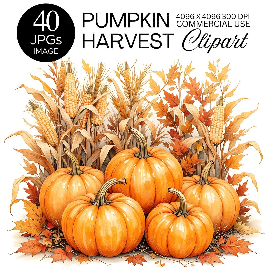 Watercolor Pumpkin Clipart | Autumn Harvest Fall Thanksgiving Clipart ...