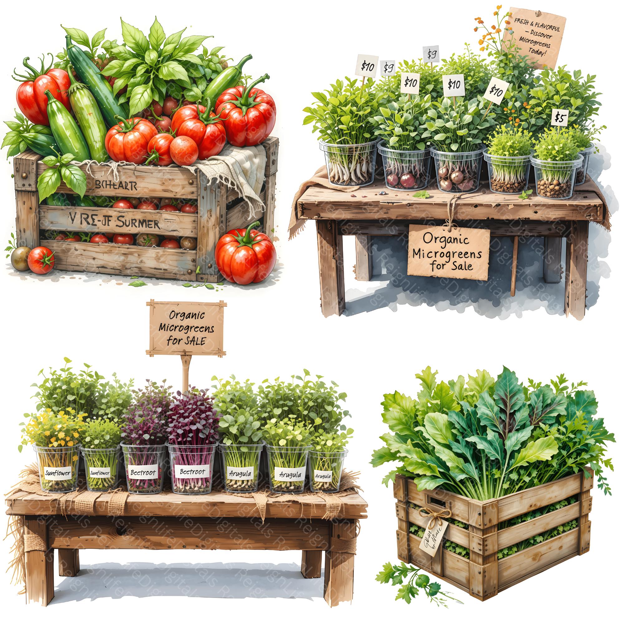 Watercolor Farmers Market Clipart | Farm Stand Graphic Illustrations ...