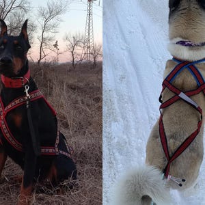 Dog Harness Sewing Pattern PDF | Sled Harness for Active Dogs | Easy ...