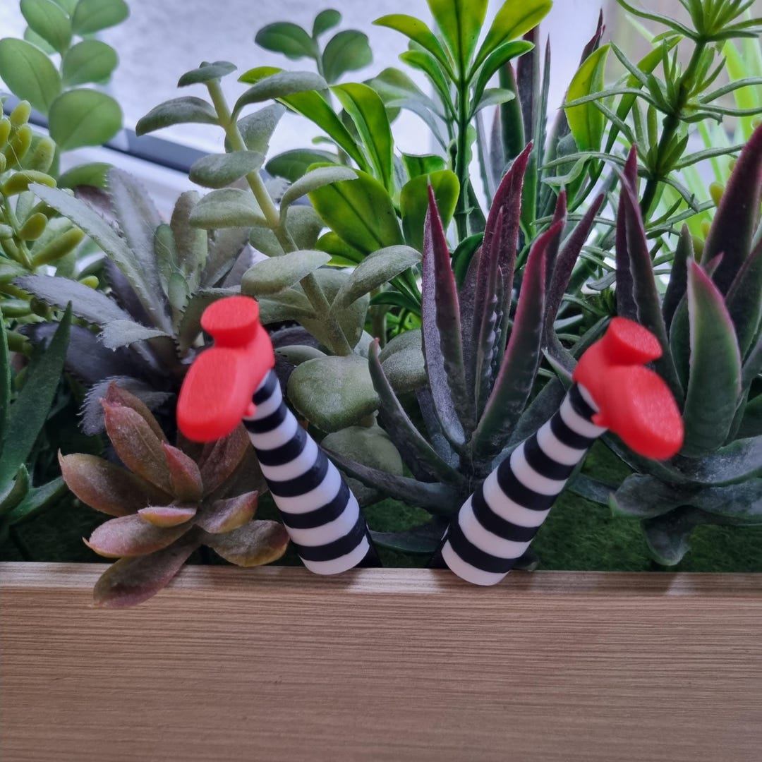 Wicked Wizard of Oz Witch 3D Plant Pot Legs. Wicked Plant and Garden ...