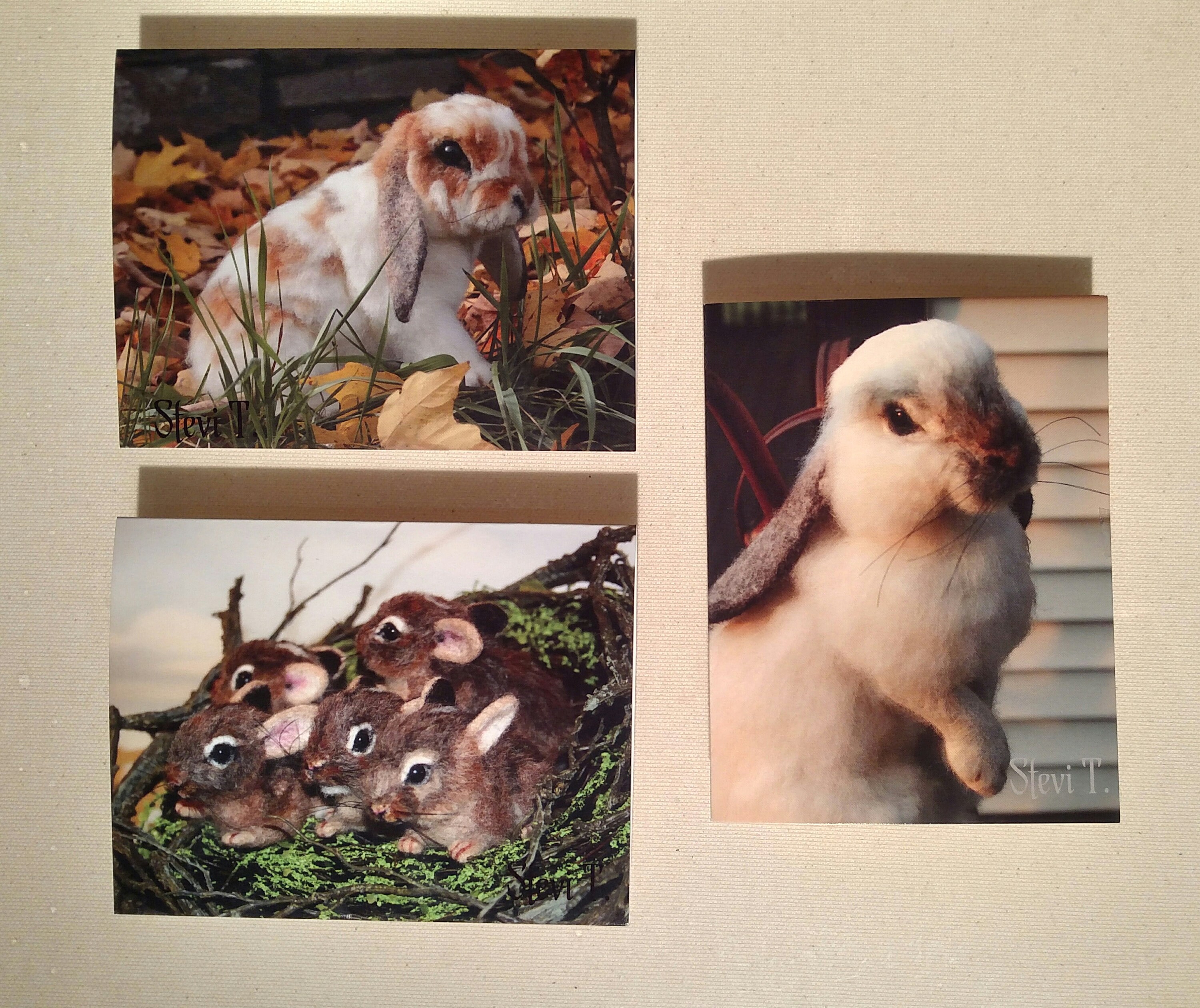 Set of 3 Bunny Rabbit Note Cards 5.5 by 4 ODACA Artist Stevi T - Etsy