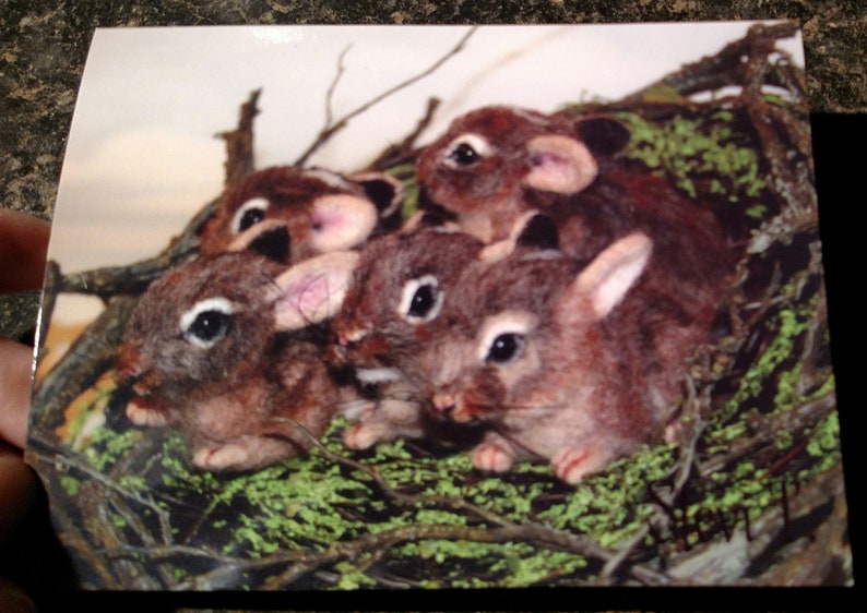 Set of 3 Bunny Rabbit Note Cards 5.5 by 4 ODACA Artist Stevi T - Etsy