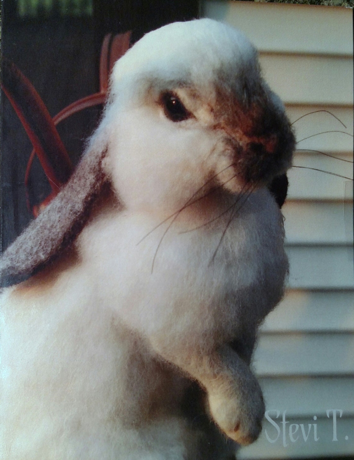 Set of 3 Bunny Rabbit Note Cards 5.5 by 4 ODACA Artist Stevi T - Etsy