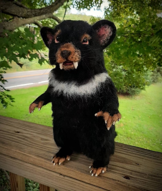 Australian Tasmanian Devil
