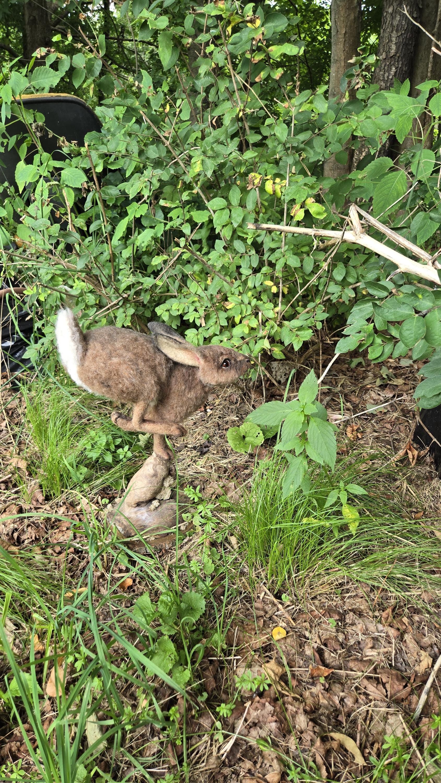 OOAK Rabbit Hare in Motion Run Rabbit Run Needle Felt Soft Sculpture ...