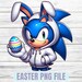 Sonic Easter PNG: Hedgehog Easter Egg Design (digital Download) - Etsy