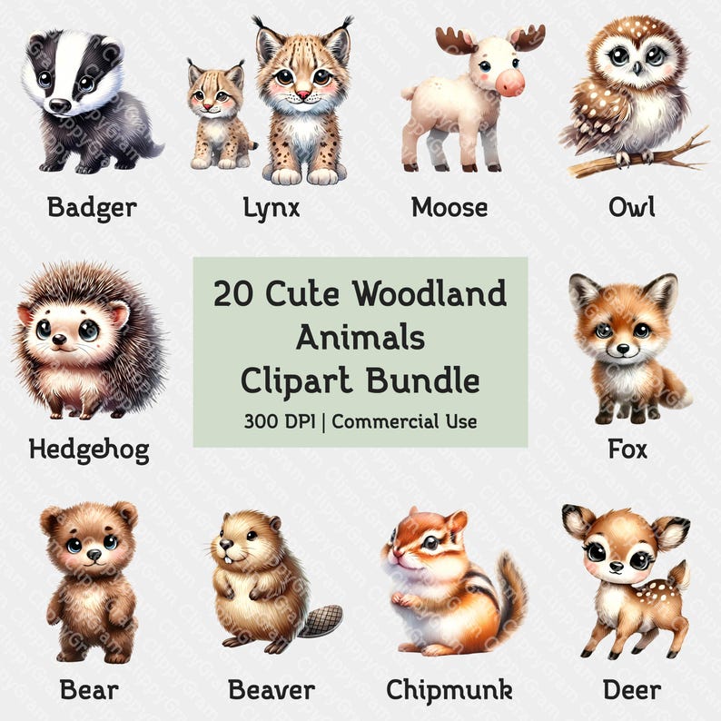 20 Cute Woodland Animals Clipart Bundle – High-resolution 300 DPI ...