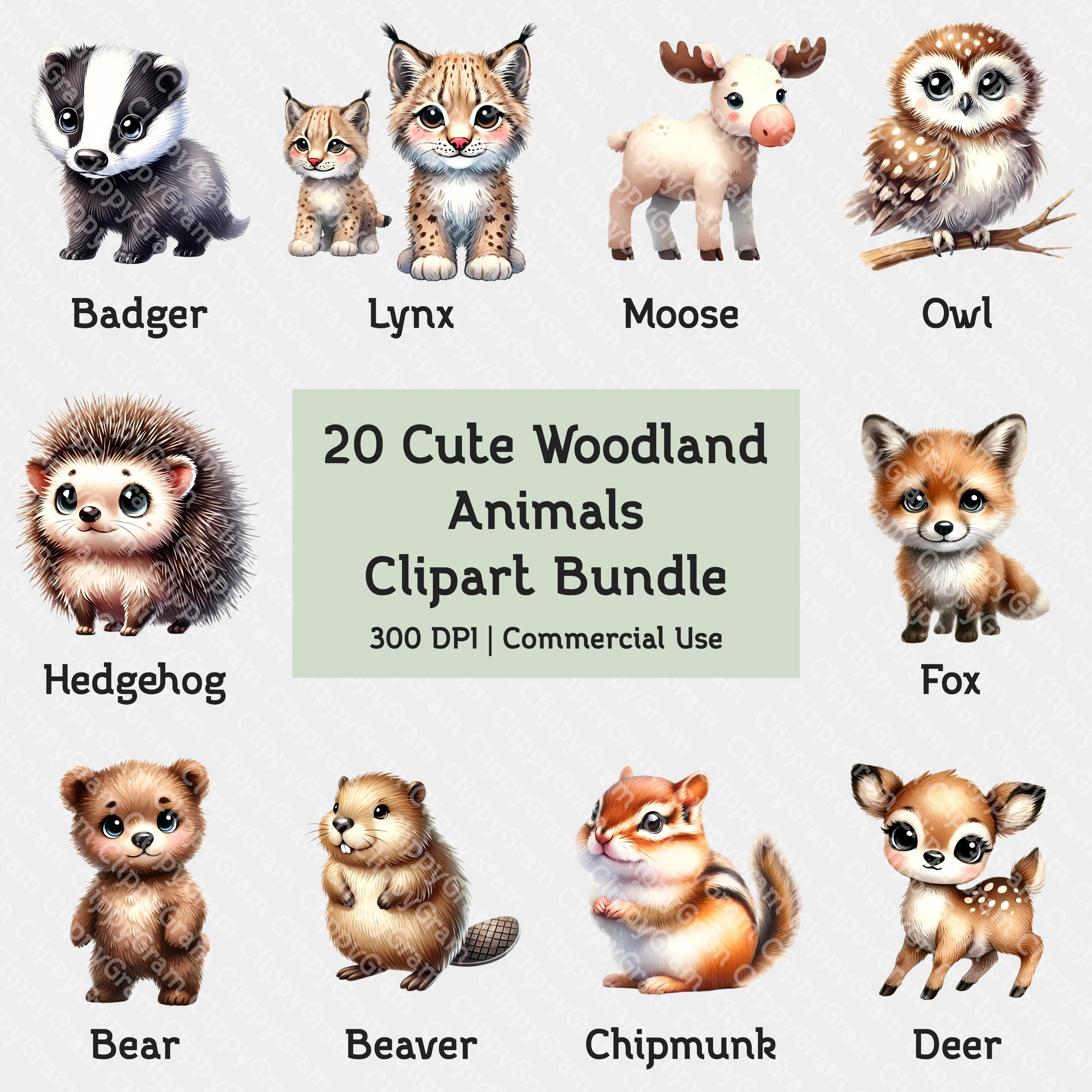 20 Cute Woodland Animals Clipart Bundle – High-resolution 300 DPI ...