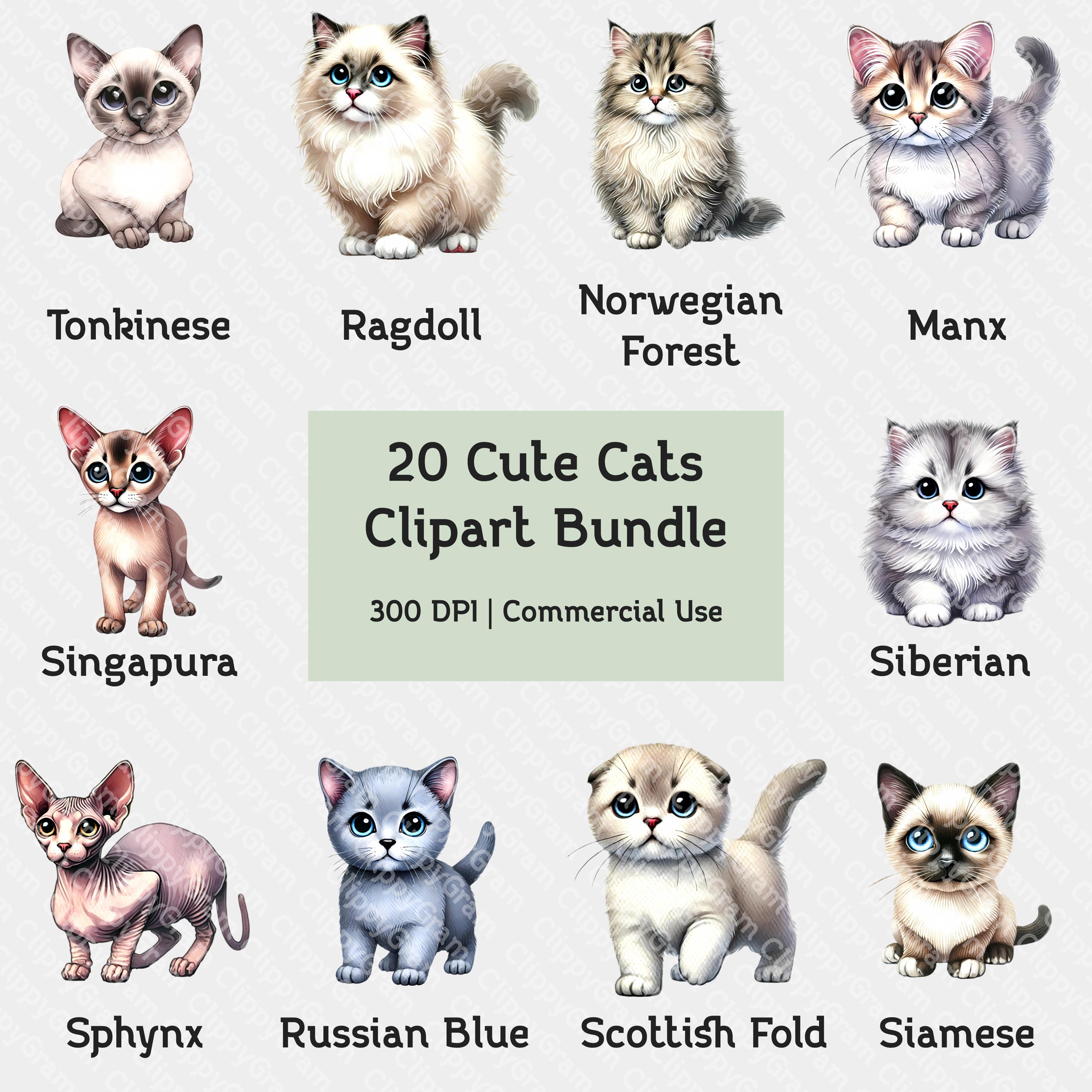 Cats Clipart Bundle | 20 Cute Cat Breeds PNG Printable, Cute Cats for ...