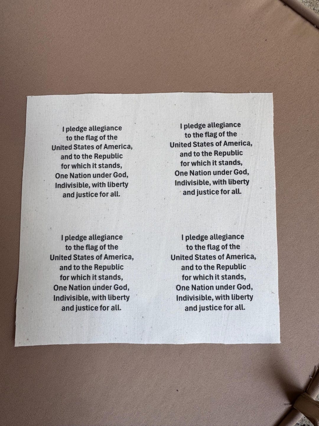 Pledge of Allegiance Fabric Print - Etsy