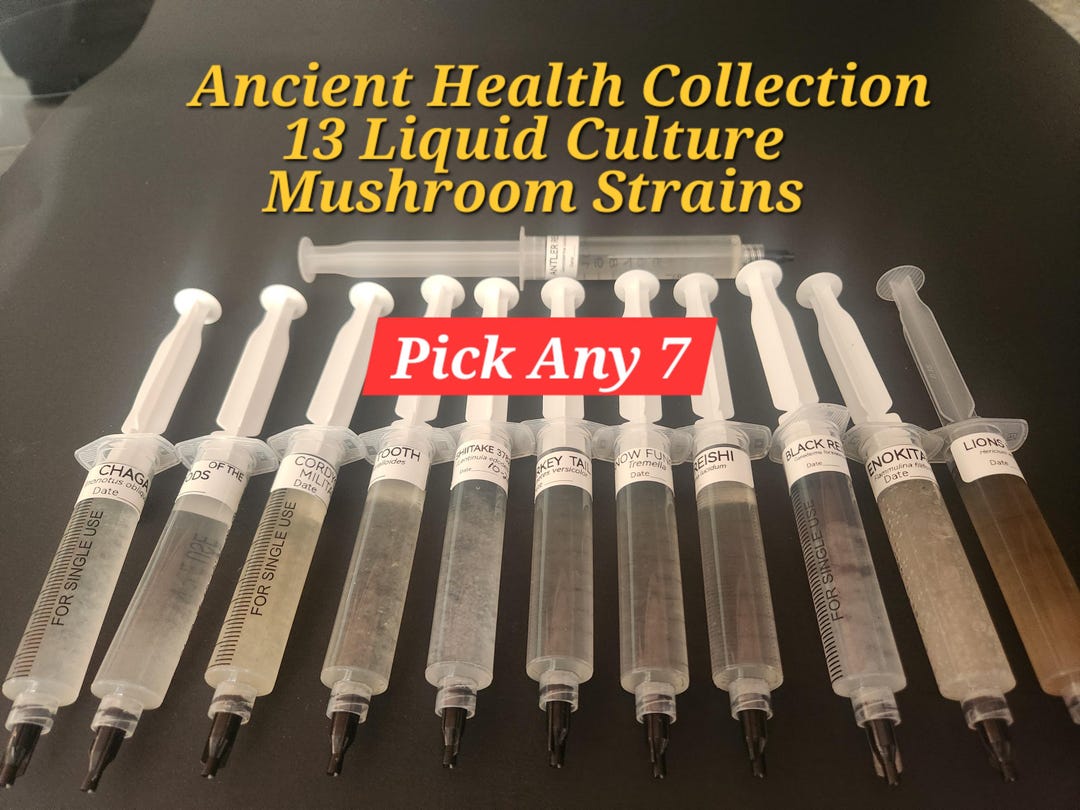 Medicinal Mushroom Liquid Culture Mycelium: Pick Any 7 Strains - Etsy