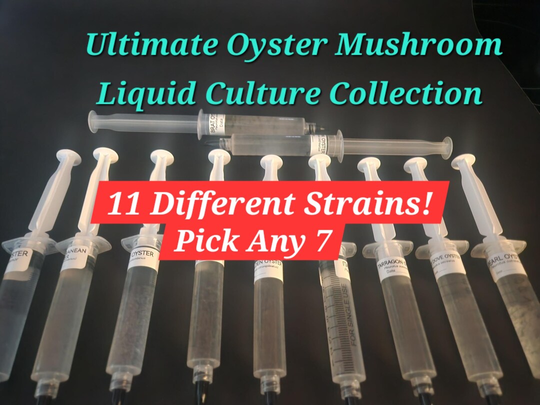 11 Strains Oyster Mushroom Liquid Culture Mycelium Syringes, Pick 7 - Etsy