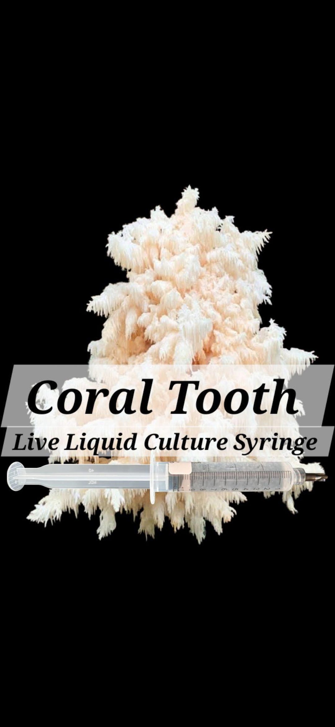 CORAL TOOTH Mushroom (hericium Coralloides) , Liquid Culture Mycelium ...