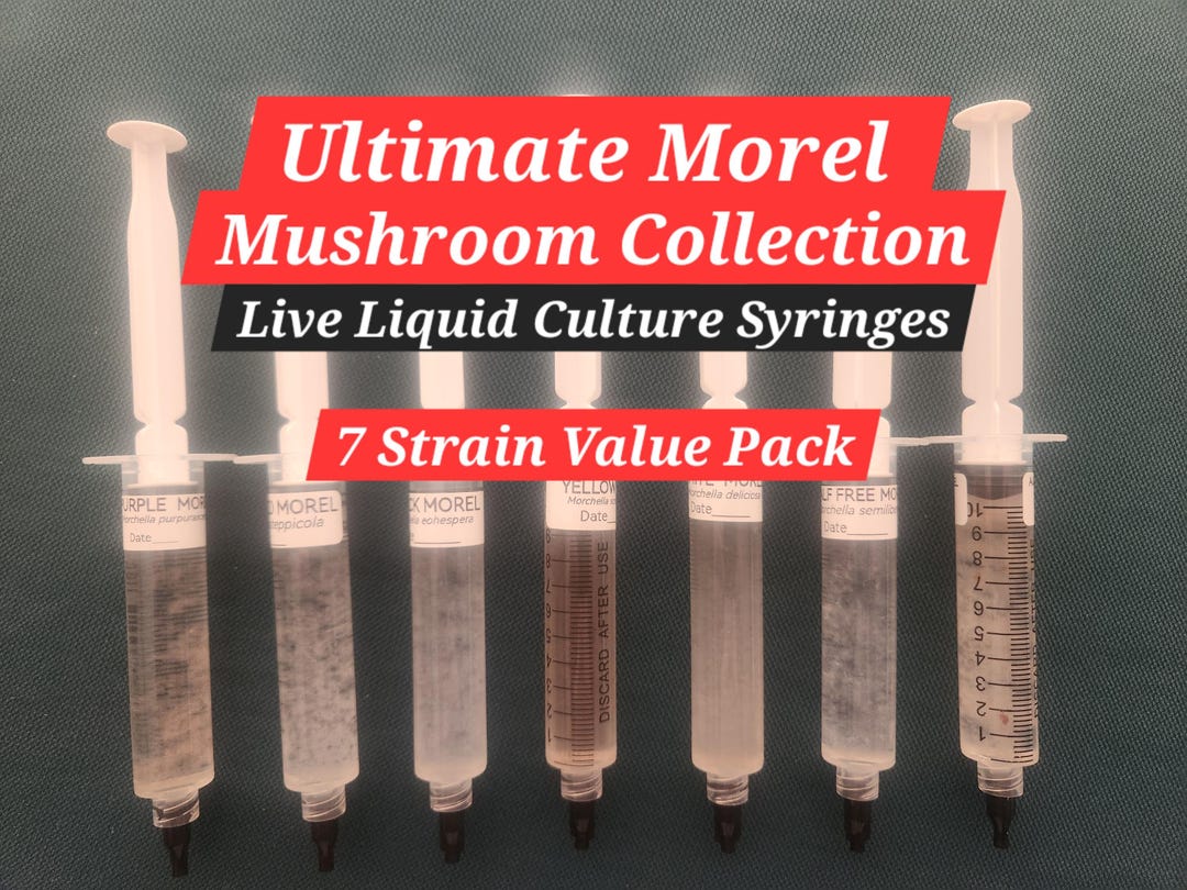 Ultimate Morel Mushroom Growers Liquid Culture Mycelium Collection- 7 ...