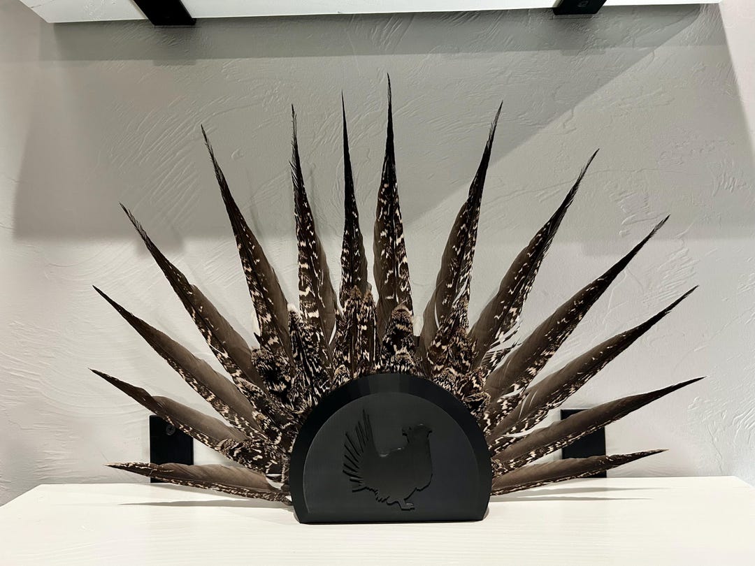 Sage Grouse Fan Mount (XL) - Etsy