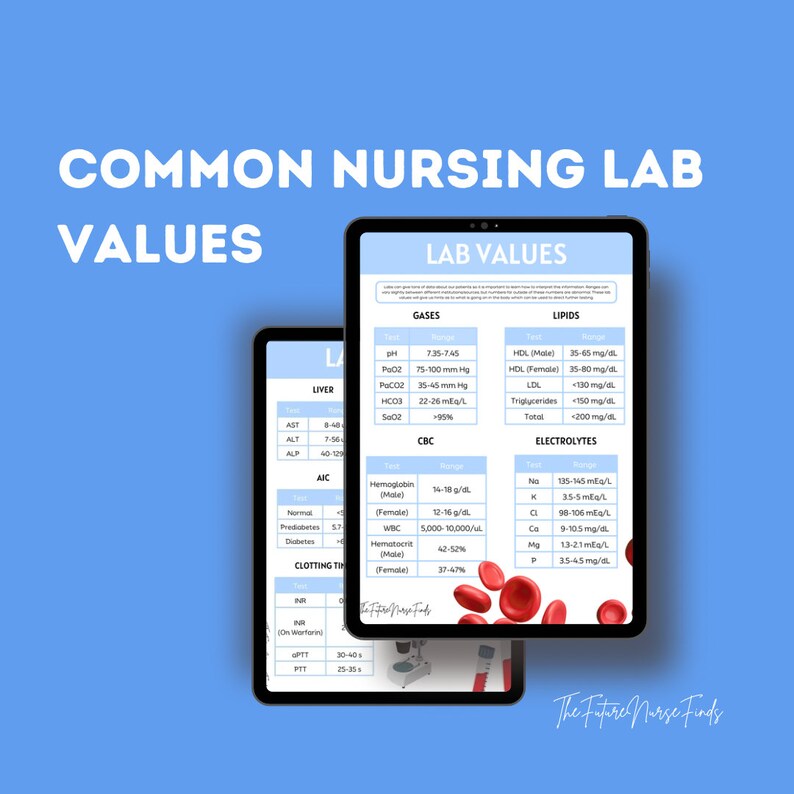 Common Lab Values, Nursing School, Red Blood Cells, Phlebotomy, Study ...