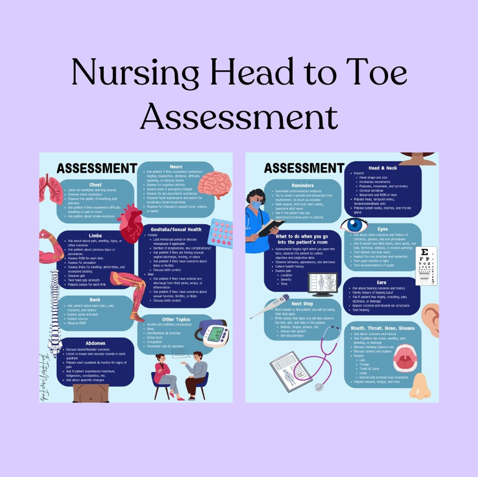 Head to Toe Nursing Assessment Study Guide, Vitals, Full Body General ...