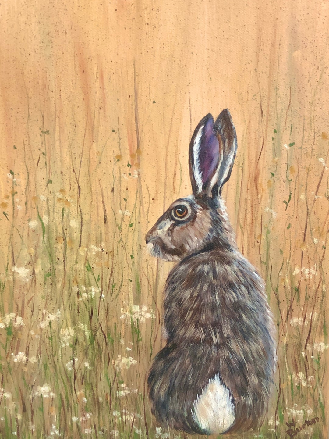 Rabbit in Field Original Oil Painting on 9"x12" Stretched Canvas - Etsy