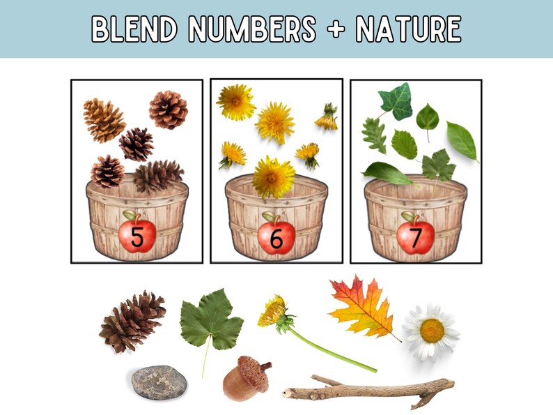 One-to-one Correspondence Counting Numbers 1-20 | Apple Theme ...