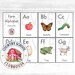 Alphabet ABC Flashcards | Farm Theme | Letter Recognition | Orton ...