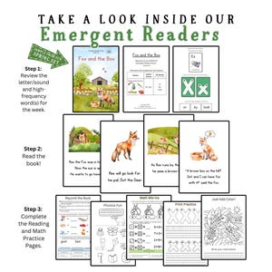 Chicken Life Cycle Emergent Reader Book | Long Vowel Sounds | Orton ...