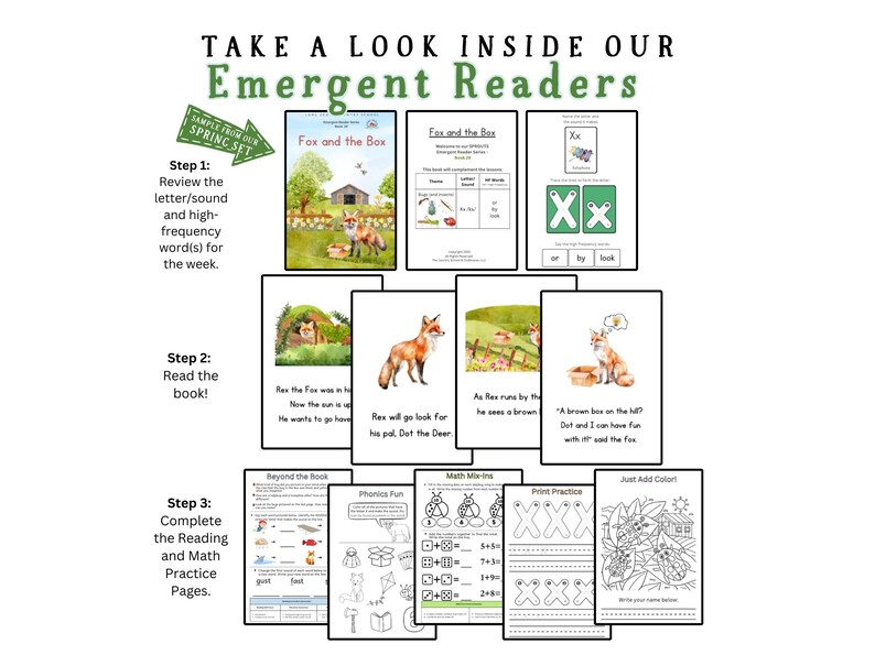 Chicken Life Cycle Emergent Reader Book | Long Vowel Sounds | Orton ...