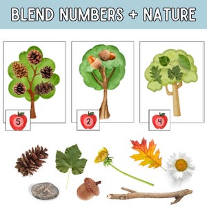 Math Number Cards | Fine Motor Practice | Apple Theme | Counting 1-10 ...