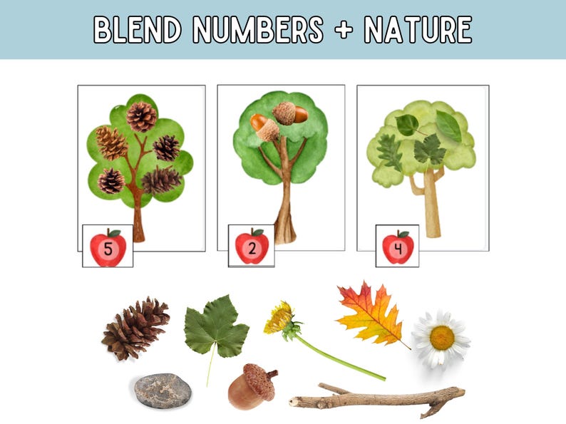 Math Number Cards | Fine Motor Practice | Apple Theme | Counting 1-10 ...
