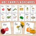 Alphabet ABC Flashcards | Farm Theme | Letter Recognition | Orton ...