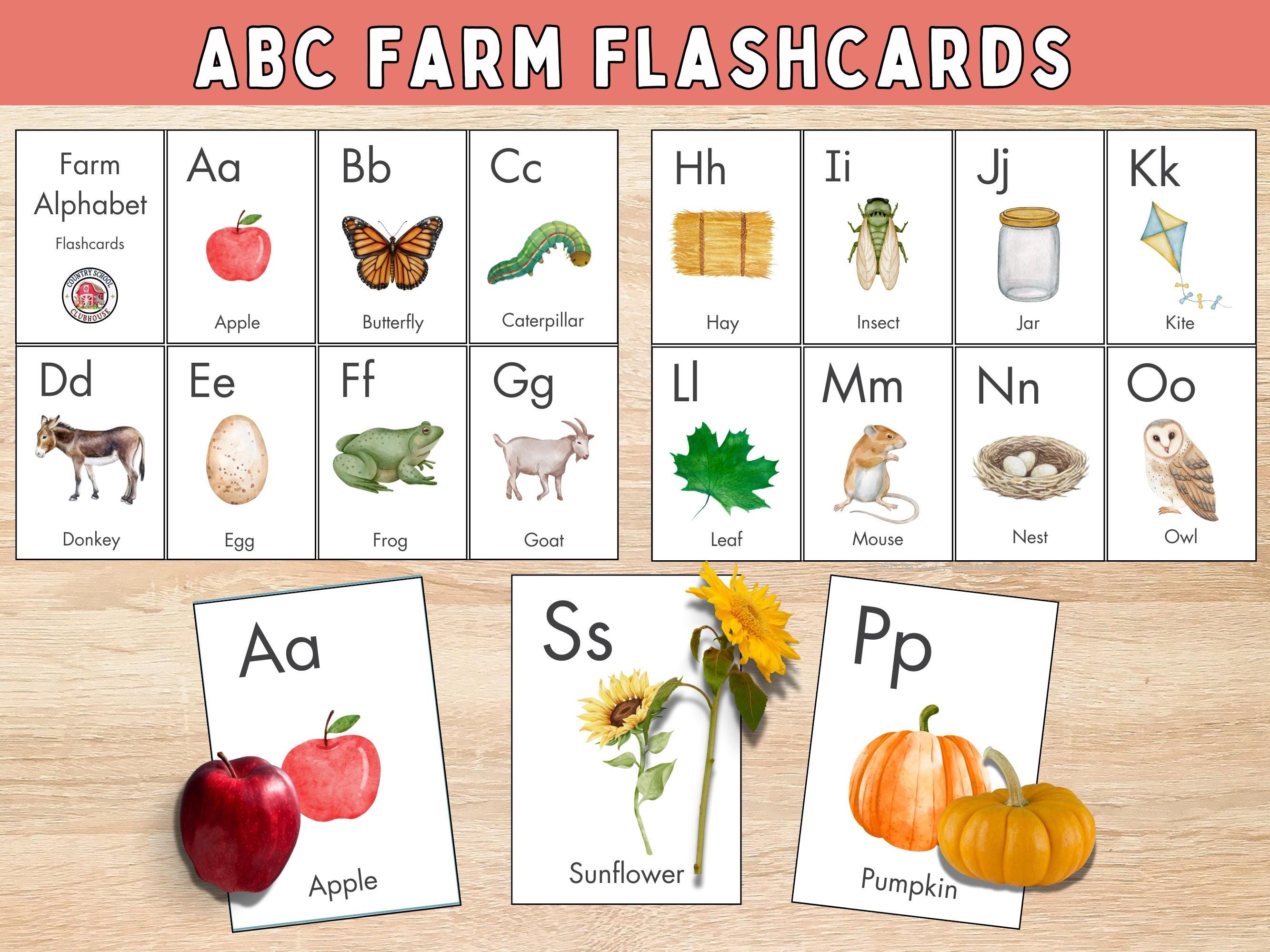 Alphabet ABC Flashcards | Farm Theme | Letter Recognition | Orton ...